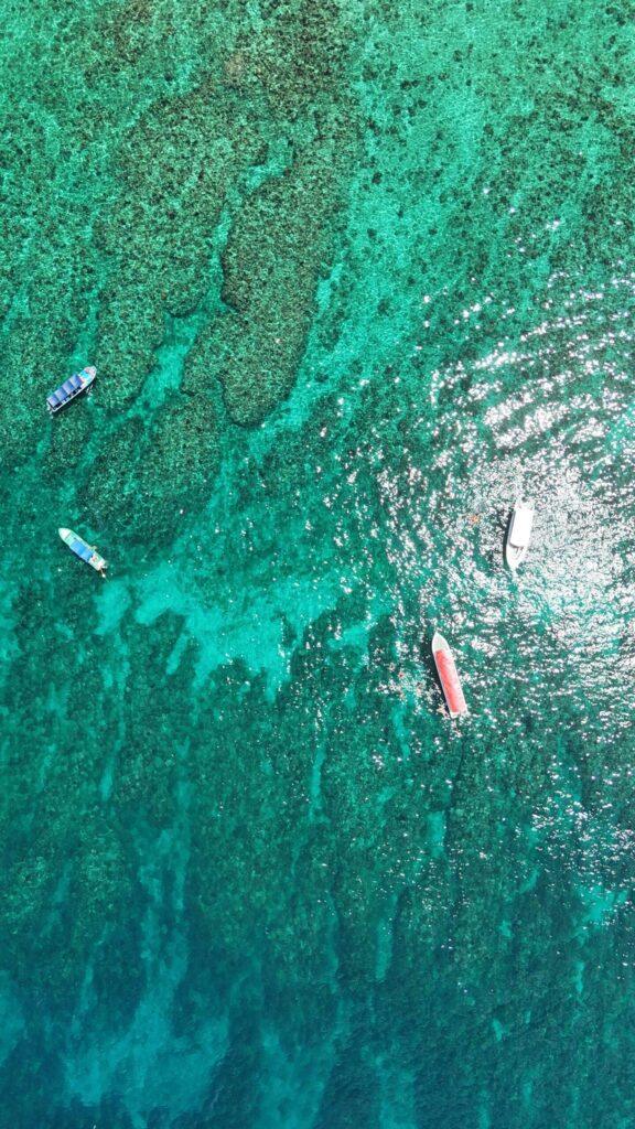 AJ’s Reef Escape - AJ´s Monkeys & Sloths